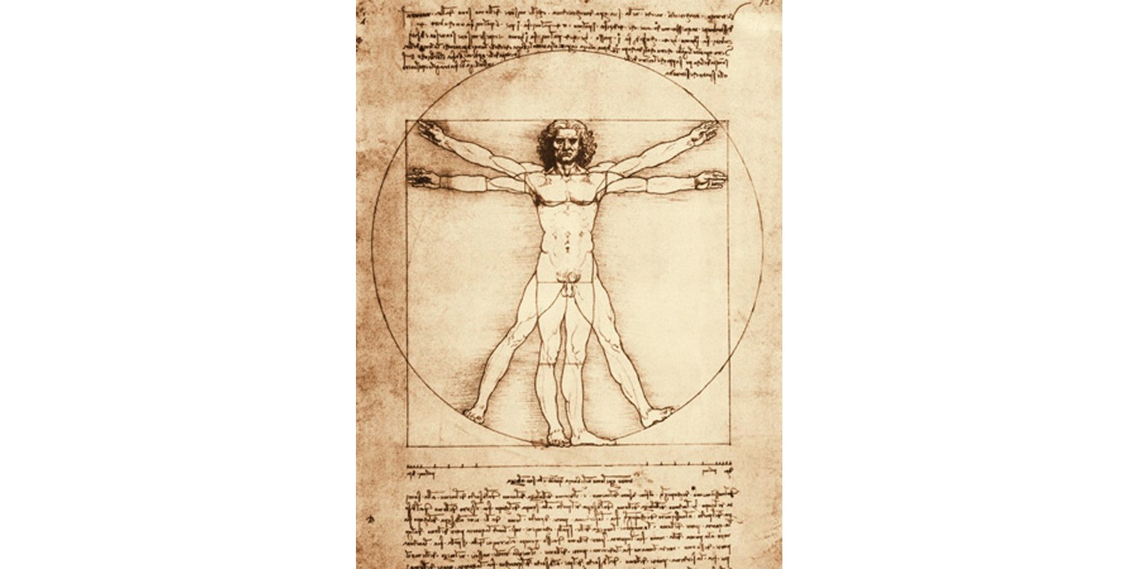 Leonardo Da Vinci - Vitruvian Man | Pg-Plaisio.gr